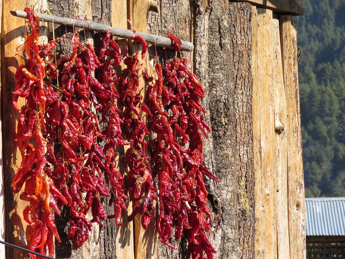 What is Ema Datse? Food in Bhutan | Boundless Journeys