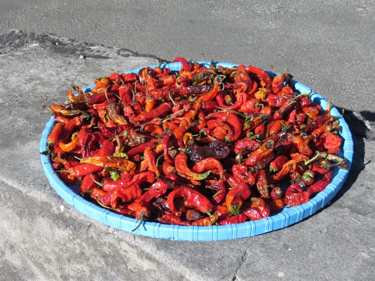 What is Ema Datse? Food in Bhutan | Boundless Journeys