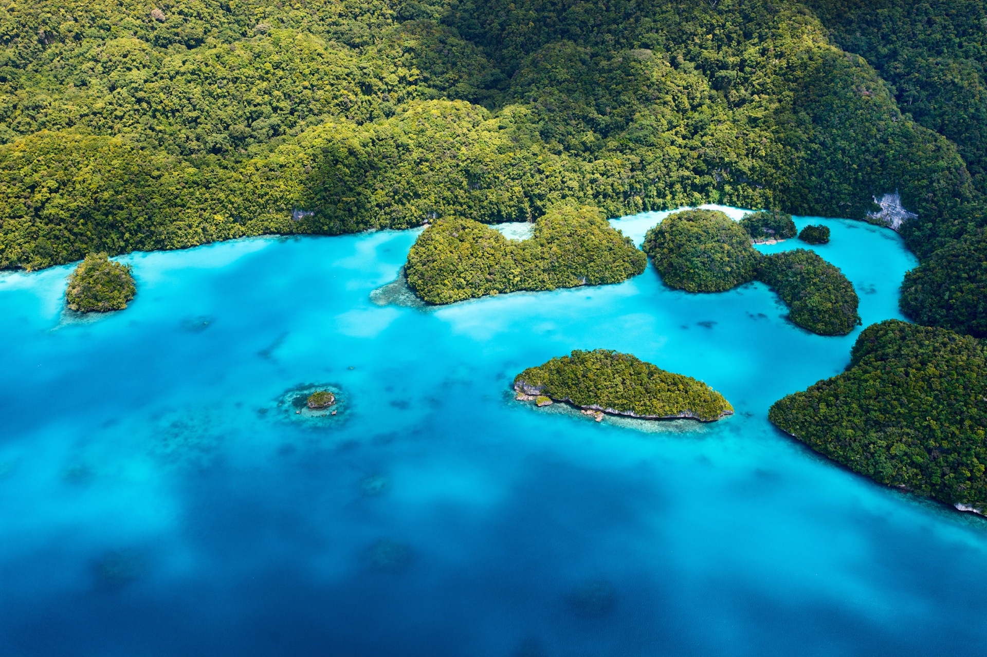 Palau: On Land and Underwater | Boundless Journeys
