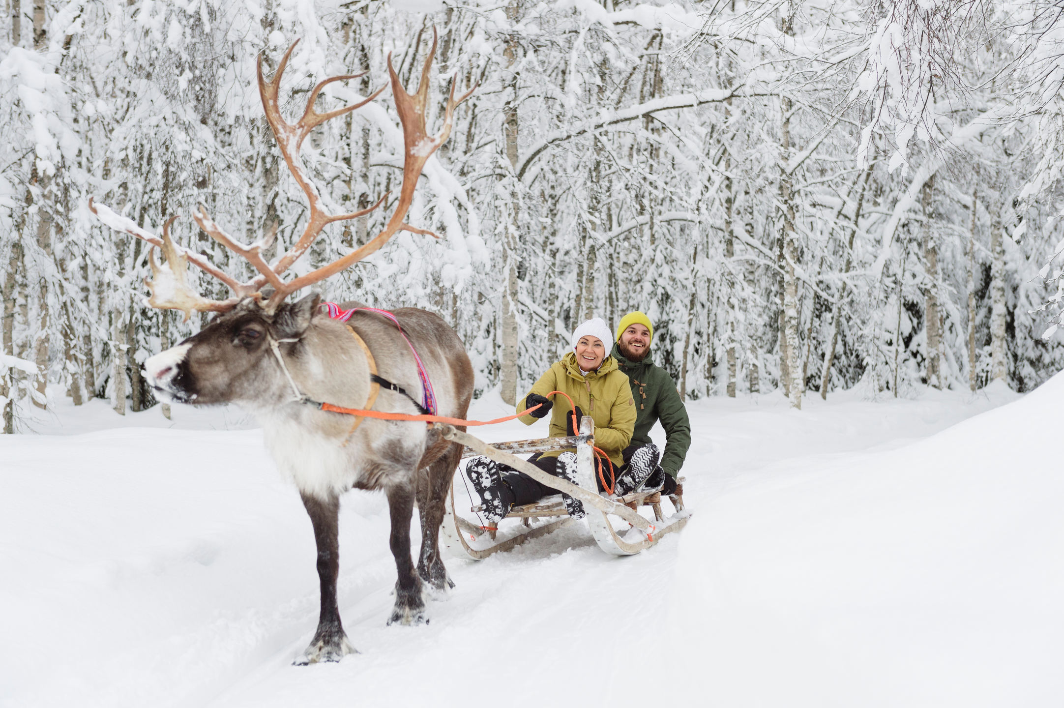 Video: Finland, Arctic Lapland | Boundless Journeys