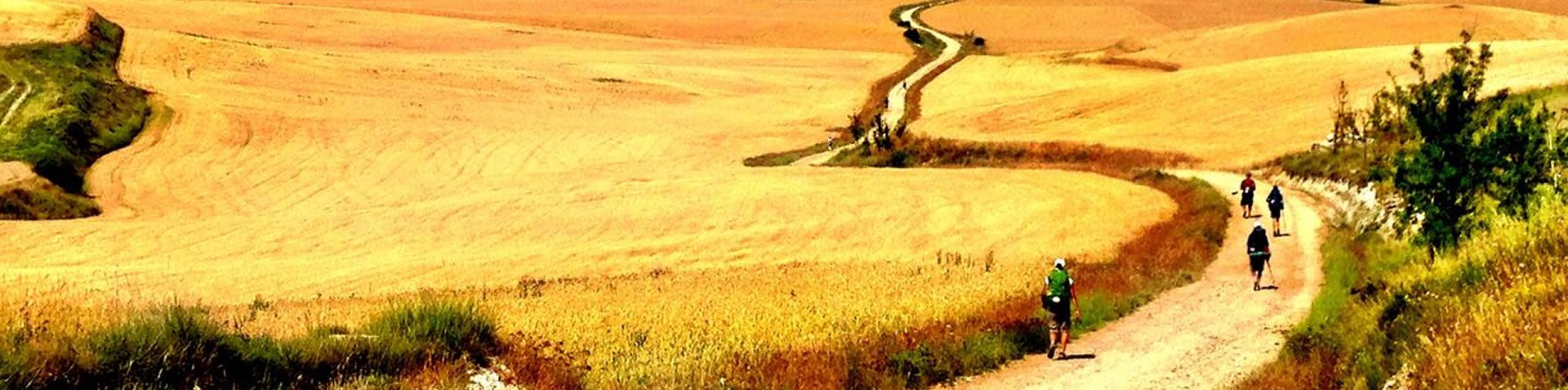 Spain: Hiking the Camino de Santiago | Boundless Journeys